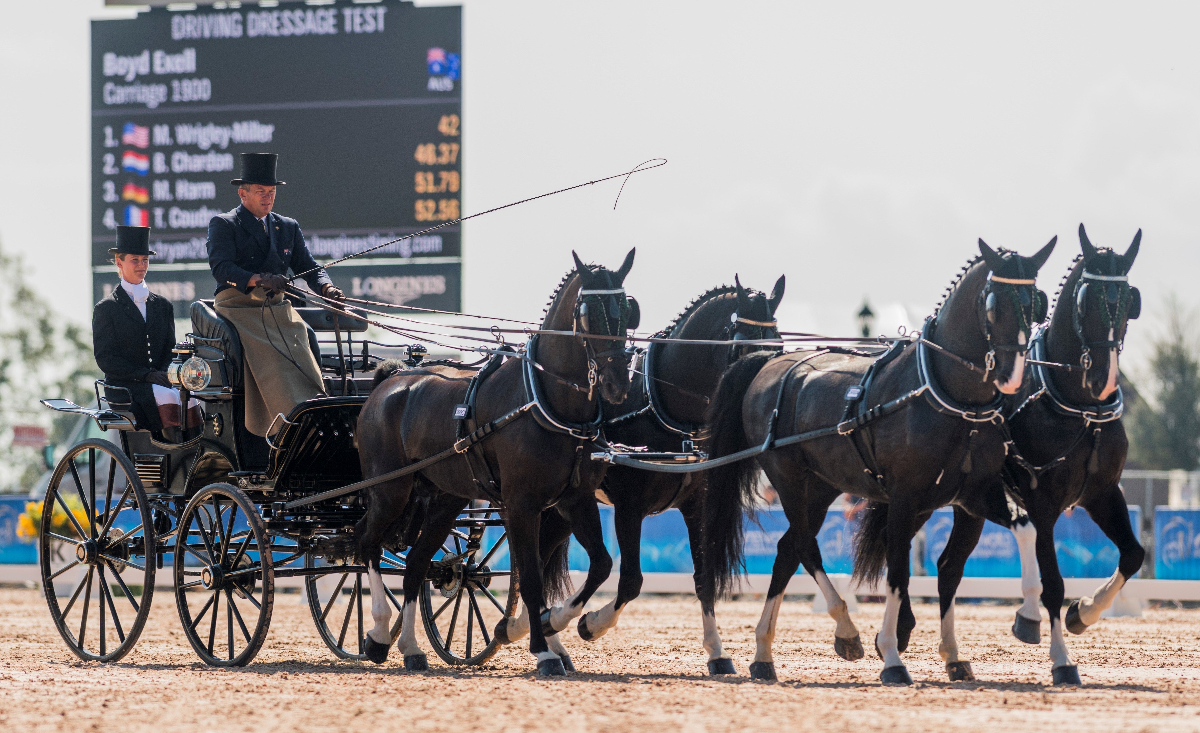 Carriage Driving – Kings Park Equestrian Club